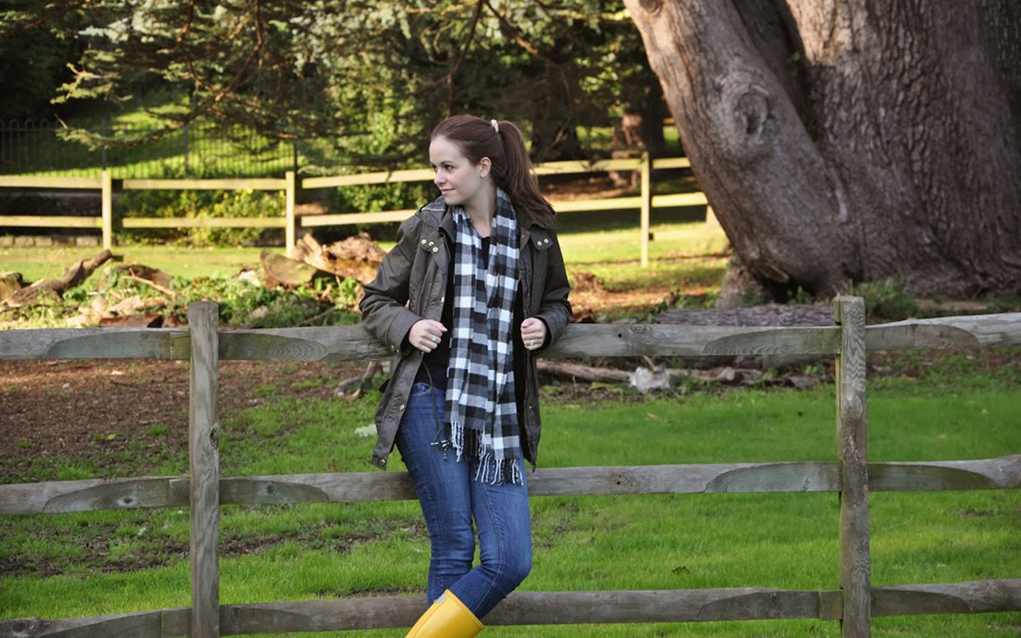 countryside walk - Sylvia's Sparkles