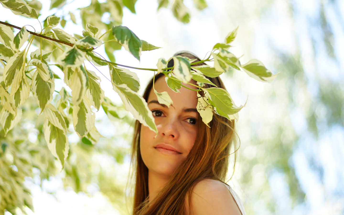 The girl in a tree - Sylvia's Sparkles